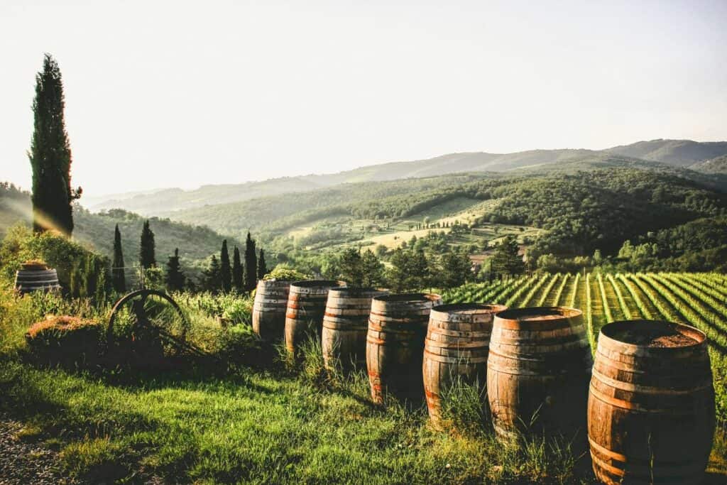 What Is A Vineyard? - Tasty Vino